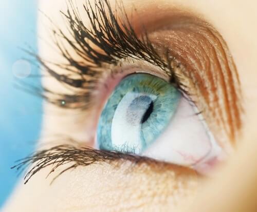 LASIK | Cataract Surgery | South Georgia North Florida Eye Partners